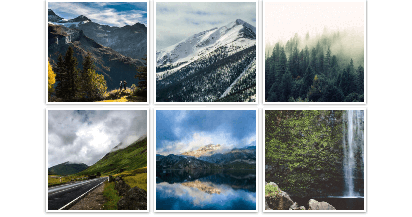 What is an "Image Gallery" in WordPress? - Website Creation Workshop
