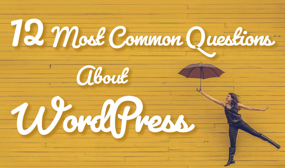 Answers to the 12 Most Common Questions About WordPress - Website ...